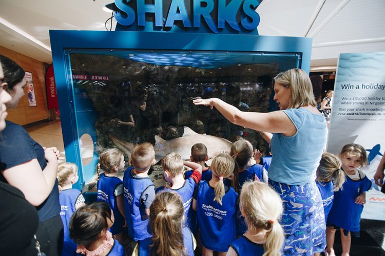 Stockland partners with the Australian Museum to deliver a world of ...