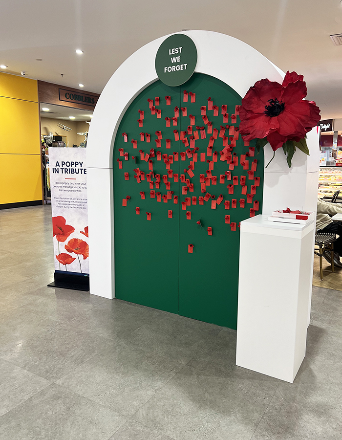 Poppy Remembrance Wall brings communities together in tribute to ...