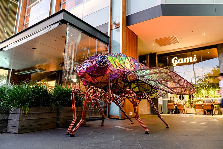 Mini beasts set to crawl into Robina Town Centre - Shopping Centre News