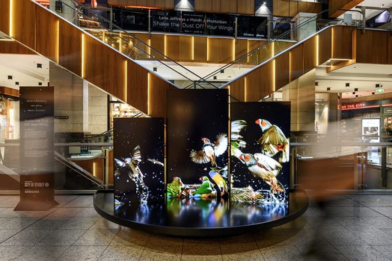 The Galeries’ Artist in Residence program with City of Sydney takes ...